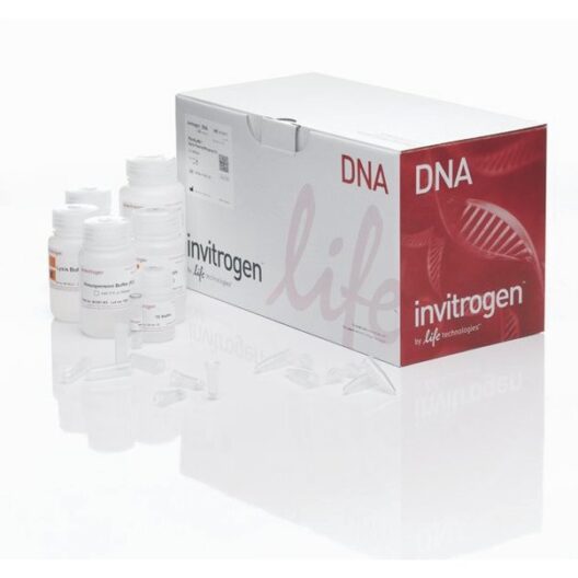 Micro BCA Protein Assay Kit - آزمالوژی